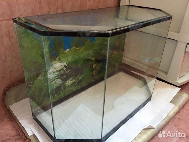 Аквариум 55л