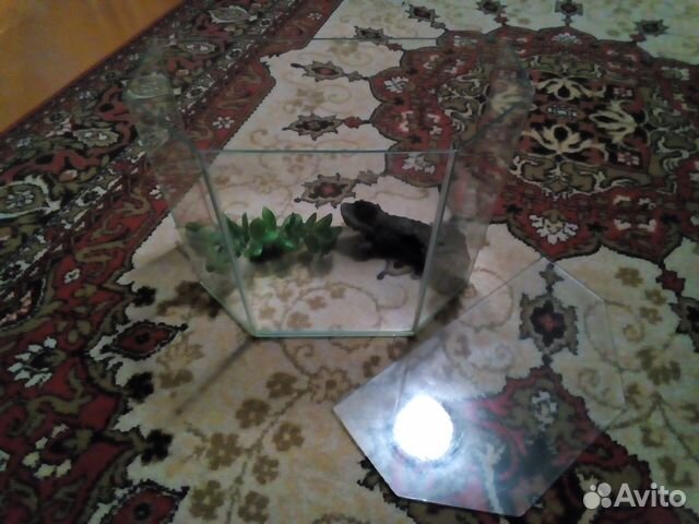 Аквариум. 20л