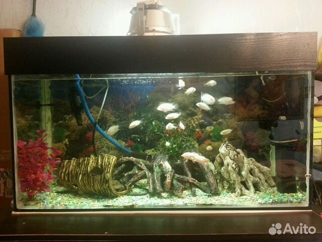 Аквариум 200л. полный комплект