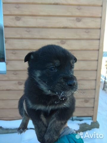 Прекрасный подарок на новый год