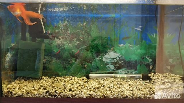 Аквариум 100л+тумба