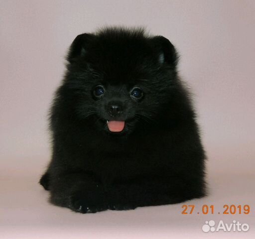 Девочка помочка