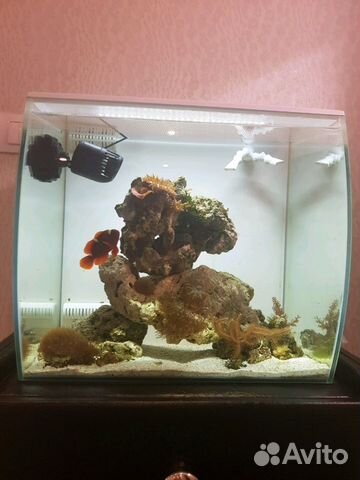 Морской аквариум 60 литров