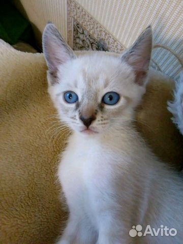 Мальчик-красавчик