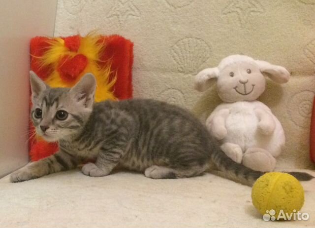 Изюмчик неаллергенный) Подарите Любимым Чудо