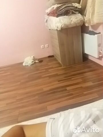 Сабака одам бесплатно