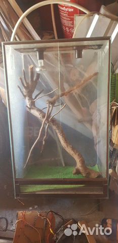 Терариум для рептилий