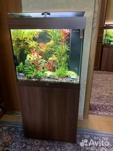 Аквариум 120л juwel с тумбой