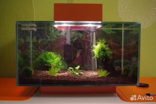 Аквариум Fluval edge 23