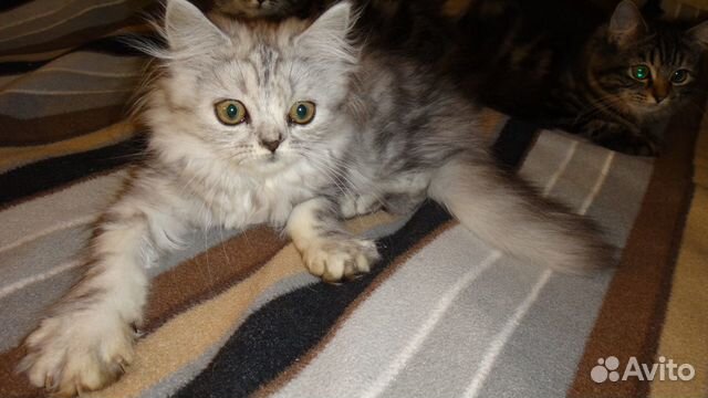 Манечка, самая ласковая девочка