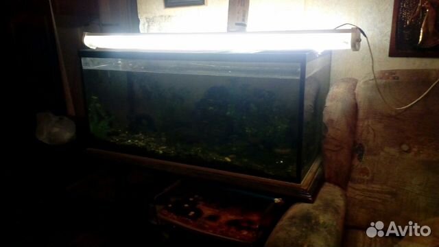 Аквариум