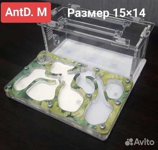 Муравьиная ферма Формикарий с муравьями