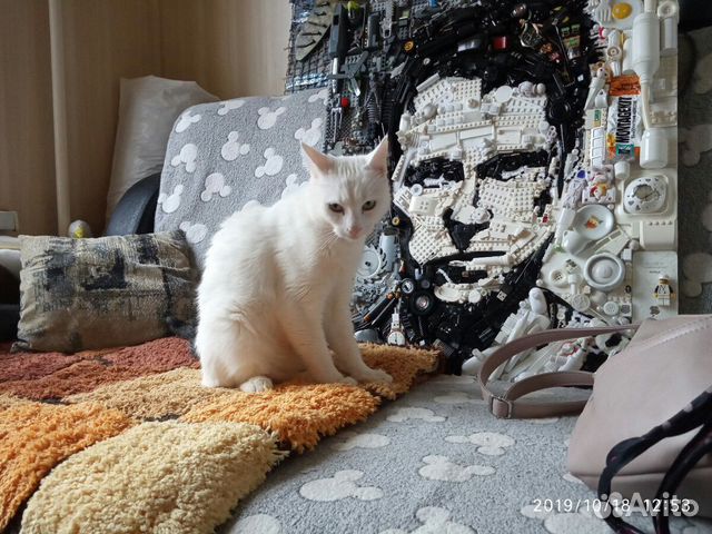 Нелли