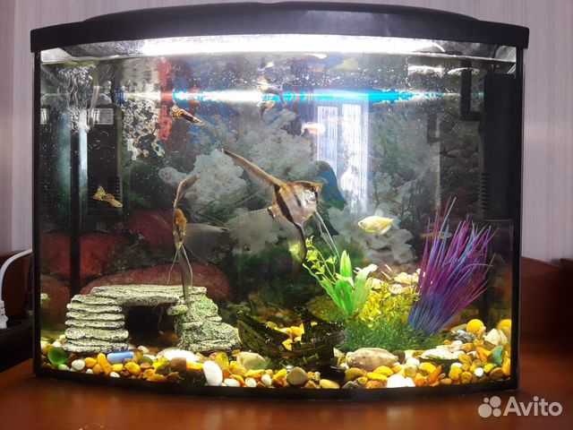 Аквариум
