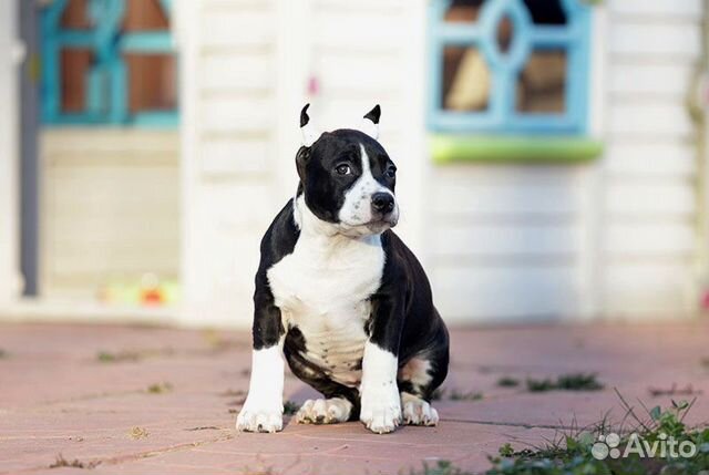 Девочка 2 месяца