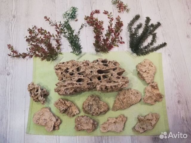 Песчаник с искусственными растениями