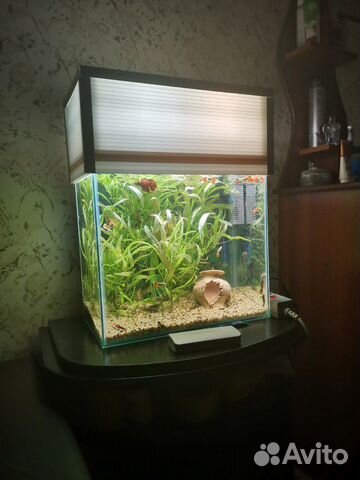 Аквариум 40л + свет + крышка