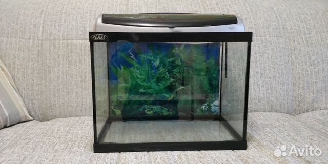 Аквариум
