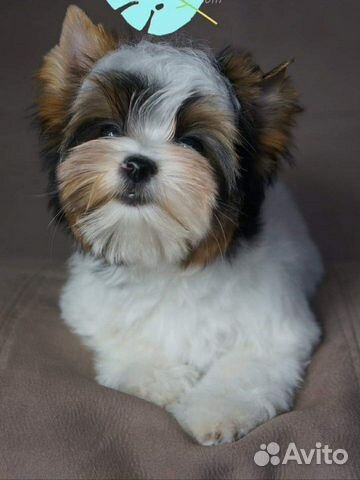 Кукольная малышка