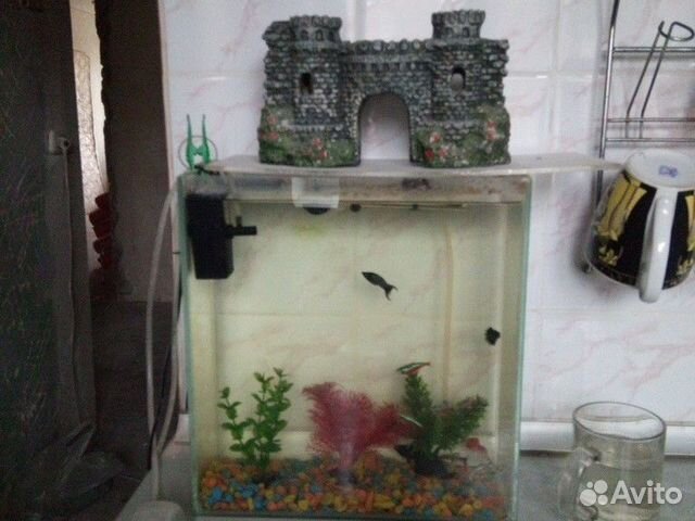 Аквариум с рыбками и декором