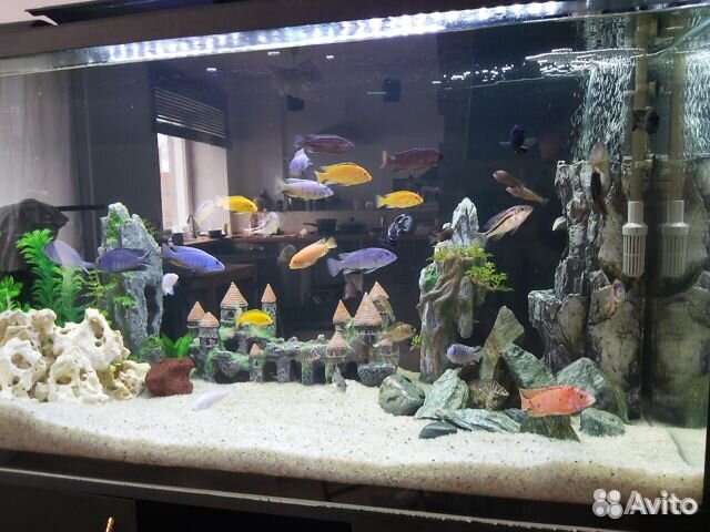 Аквариум 330 л