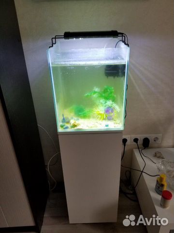 Аквариум30л тумбой и содержимым