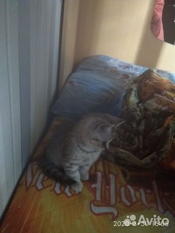 Британская