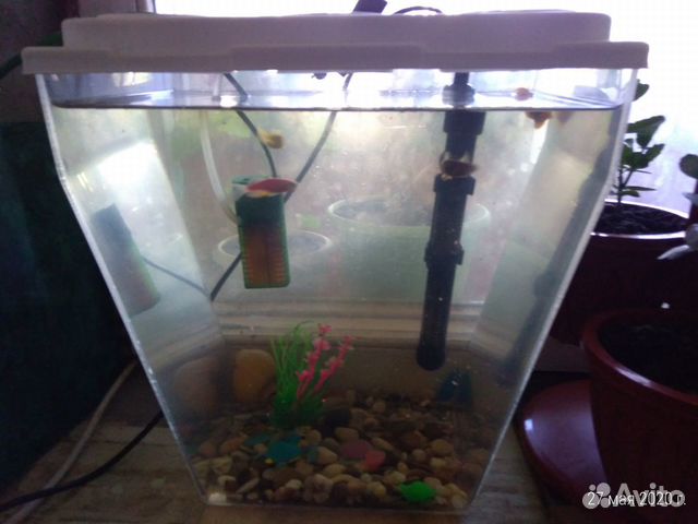 Акваферма, 10 л