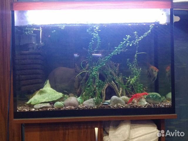 Аквариум 100л