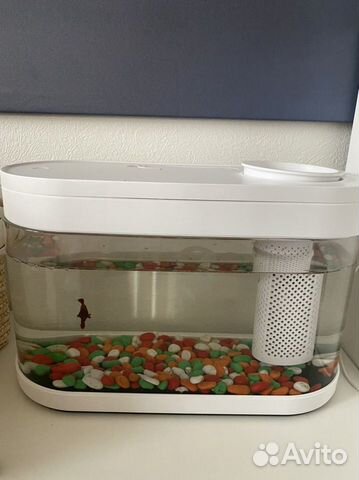 Акваферма аквариум Xiaomi с рыбкой «петушок»