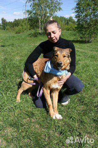 Лобзик сидит в клетке и ждёт тебя