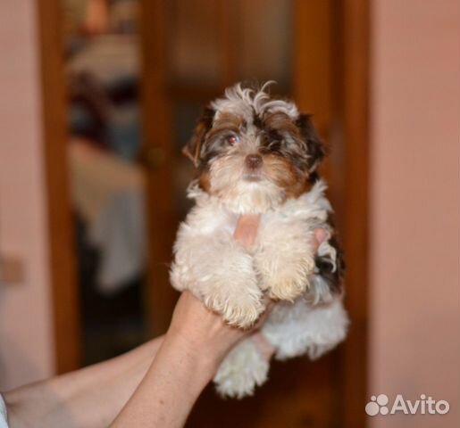 Нарядный малыш