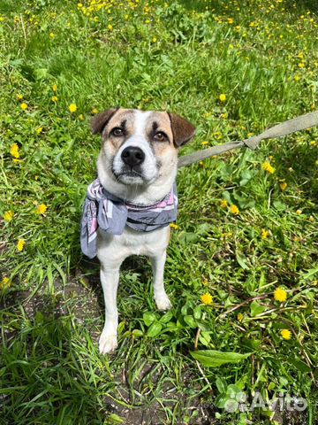 Страшно быть в приюте