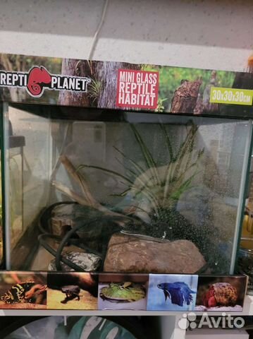 Террариум для рептилий б/у