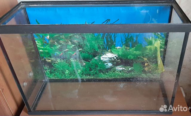 Аквариум