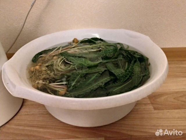 Прополка - Криптокарина и ампулярии