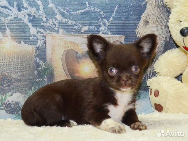 Девчоночка