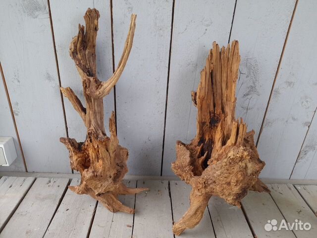 Коряги пни ветки