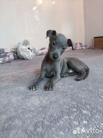 Продаётся счастье)