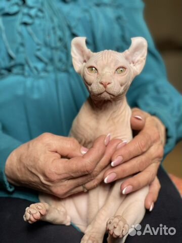 Белая девочка эльф