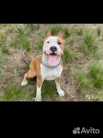 Вязка стафф