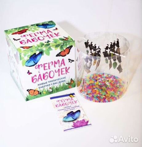 Домашняя мини-ферма бабочек