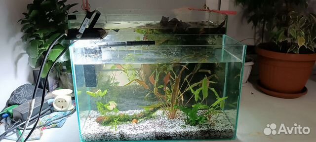 Аквариум