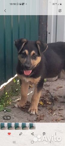 Казанская дворовая блатная)