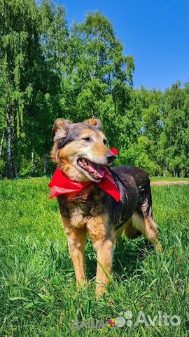 Трепетная Дашенька ищет свою семью