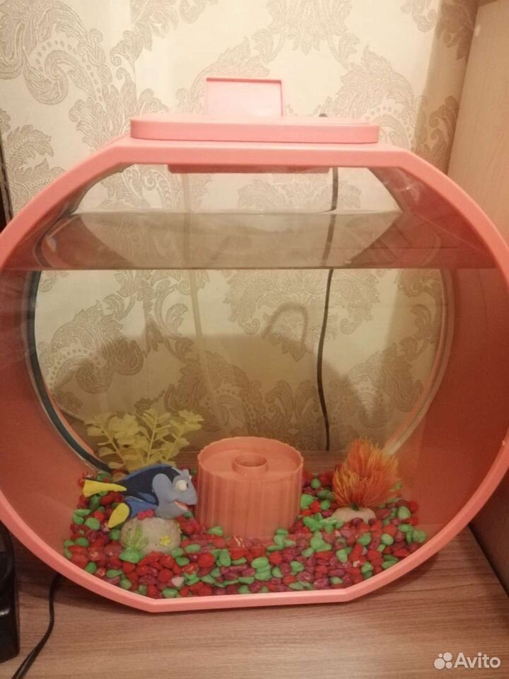 Аквариум дисней