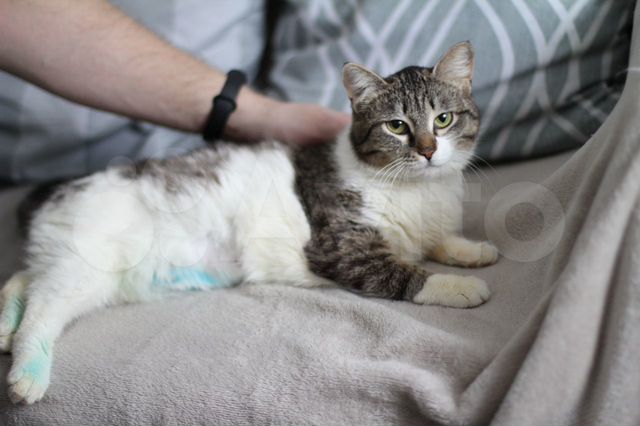 Особенная Яся в добрые руки