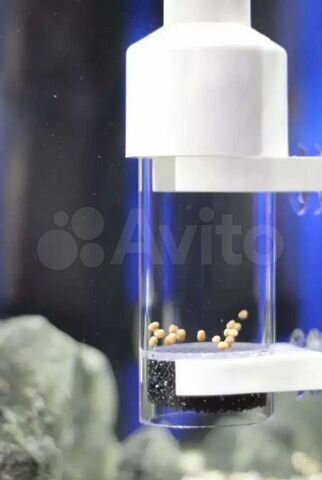 Инкубатор для икры Цихлид